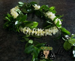 Big Island Maile Lei - Lin's Lei Stand