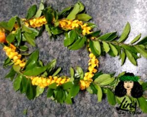 Fresh Flower Leis from Hilo, Hawaii - Lin's Lei Stand